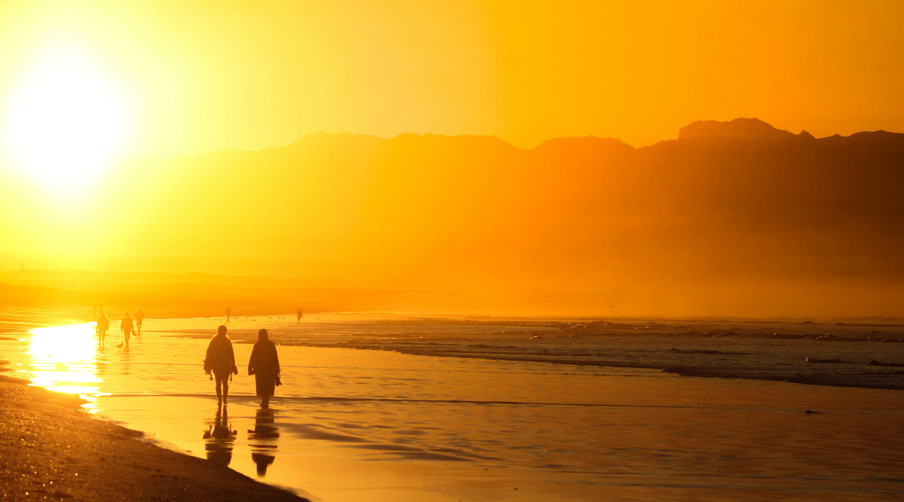 Why Everyone Is Talking About Calcium and Vitamin D3! – Zinplex South ...